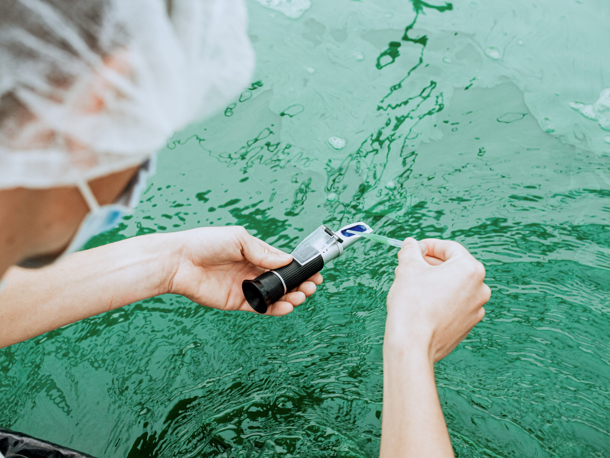 Etika Spirulina reprend le flambeau de Spiruline des Iles d'Or 🌱 ...